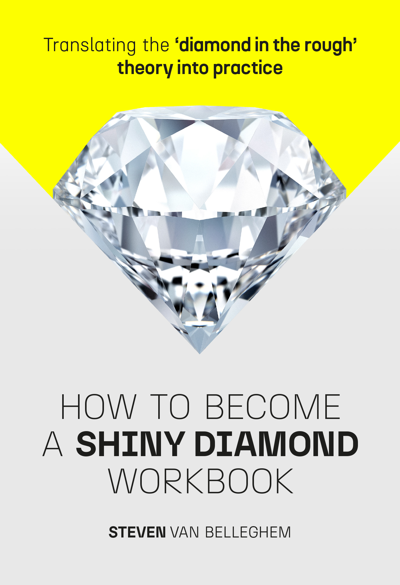 How to become a shiny diamond workbook - Steven Van Belleghem